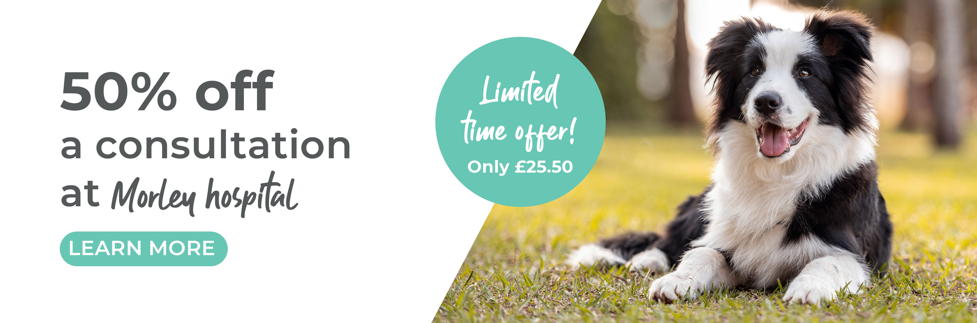 Abbey House Veterinary Hospital with 6 vet practices in Leeds